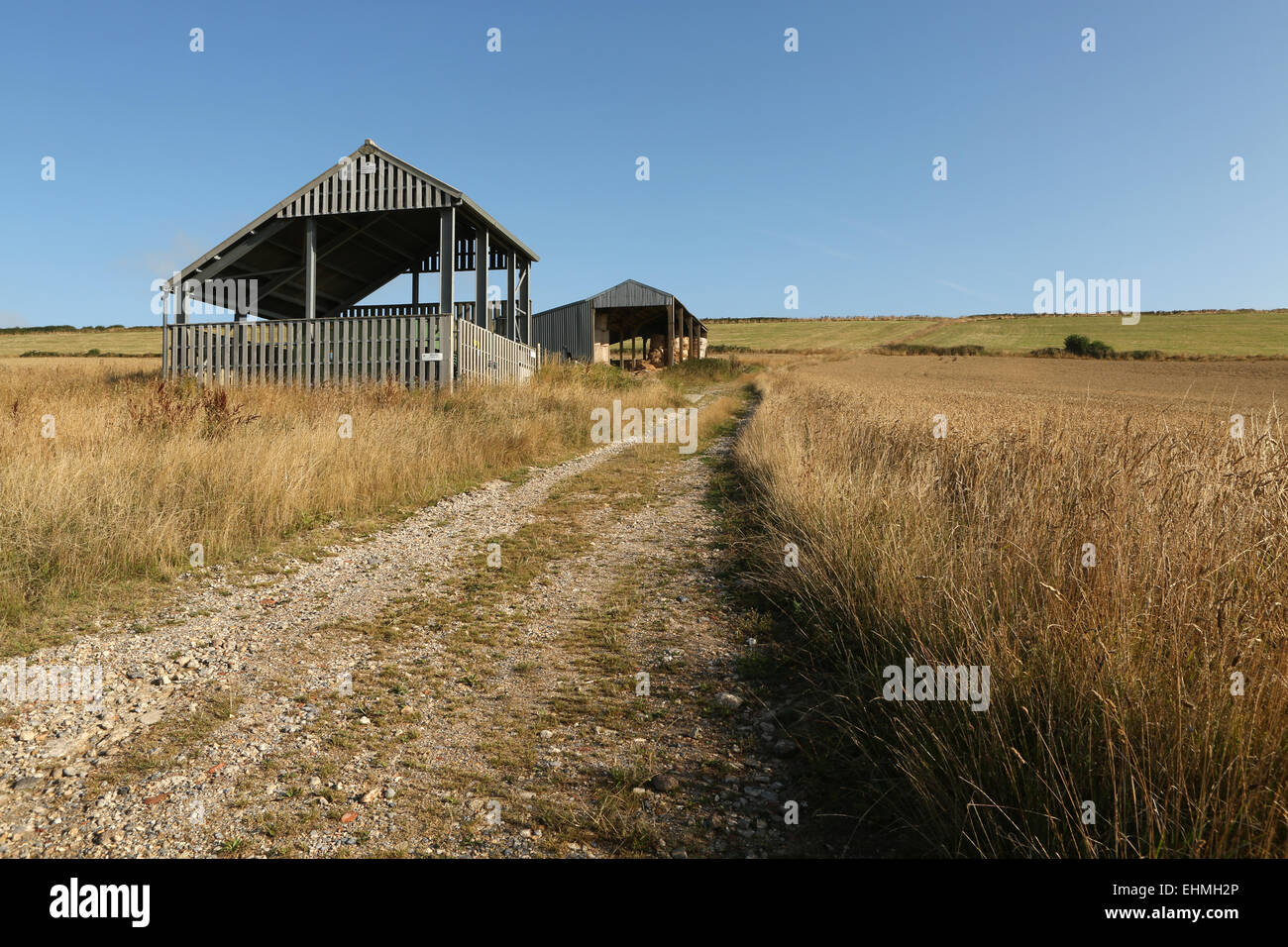 Agricultural building in a remote rural location Stock Photo - Alamy