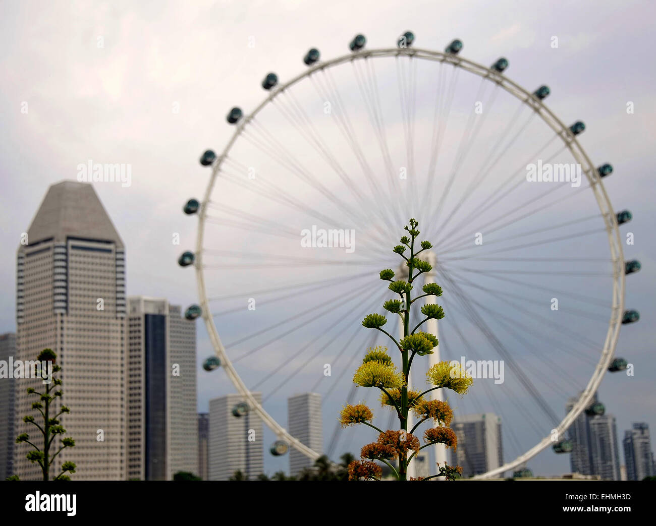 Singapore customs hi-res stock photography and images - Alamy