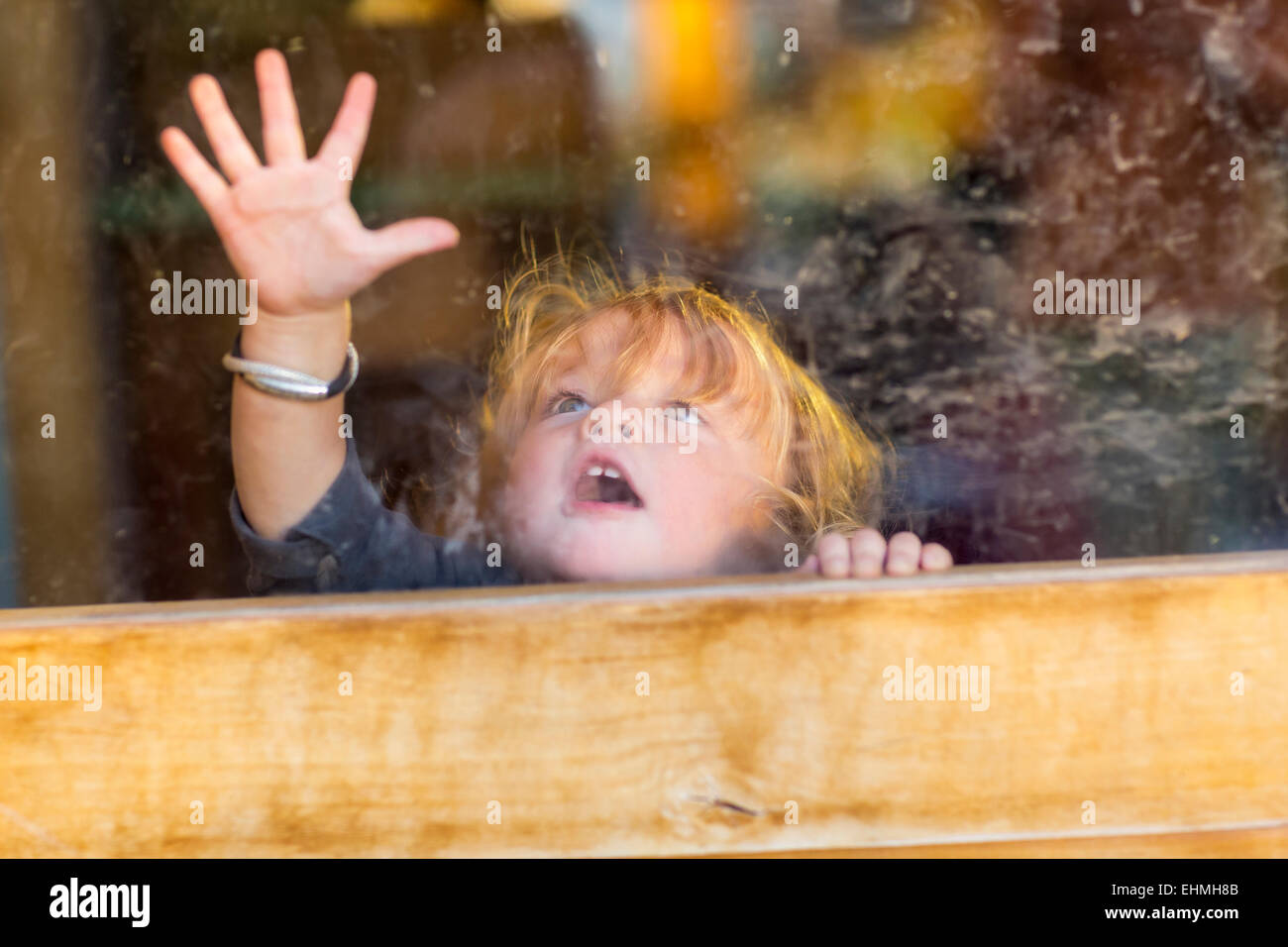 Caucasian baby pressing hand to window Stock Photo - Alamy