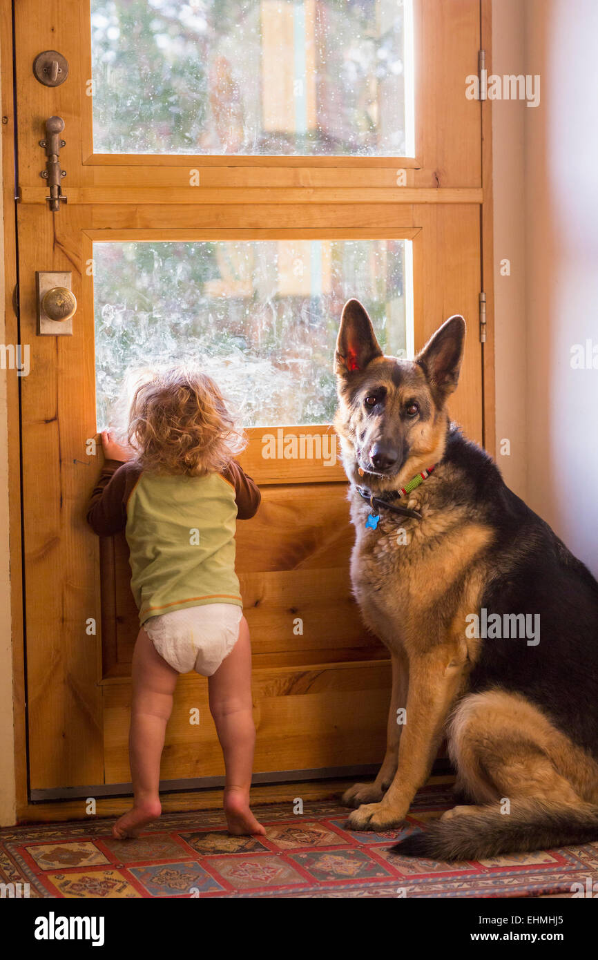 Caucasian baby and dog looking out window Stock Photo - Alamy