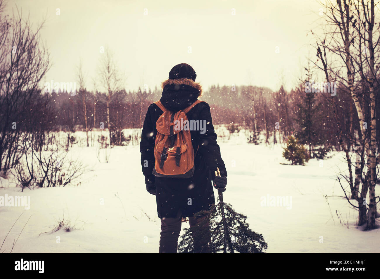 Caucasian man carrying tree in snowy field Stock Photo - Alamy