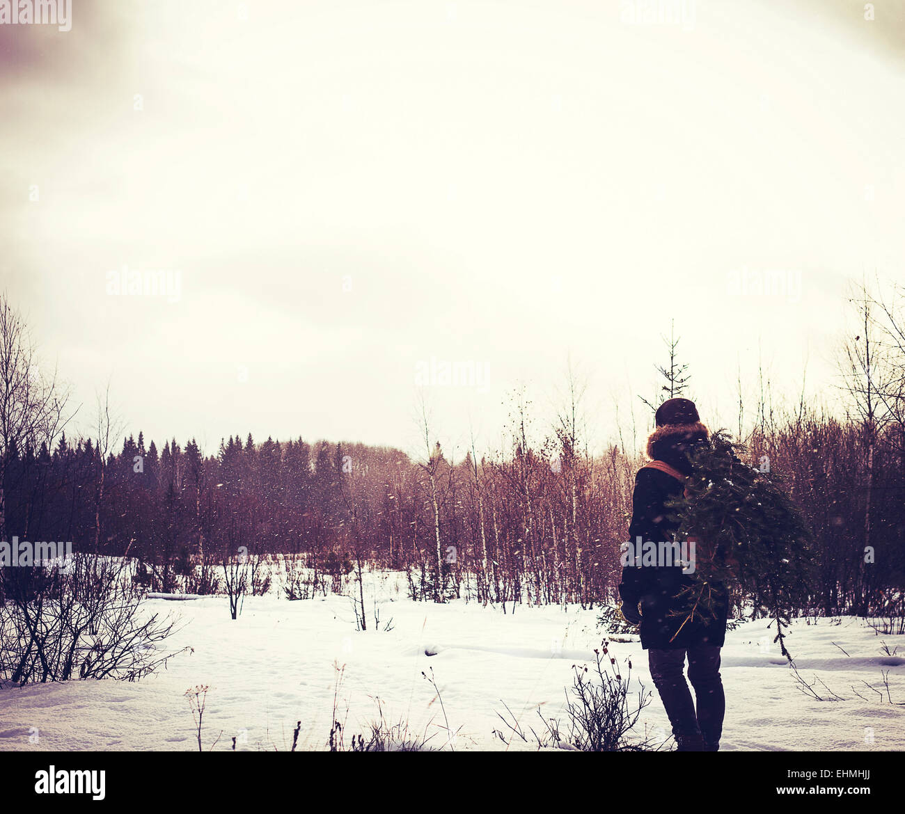 Caucasian man carrying tree in snowy field Stock Photo - Alamy
