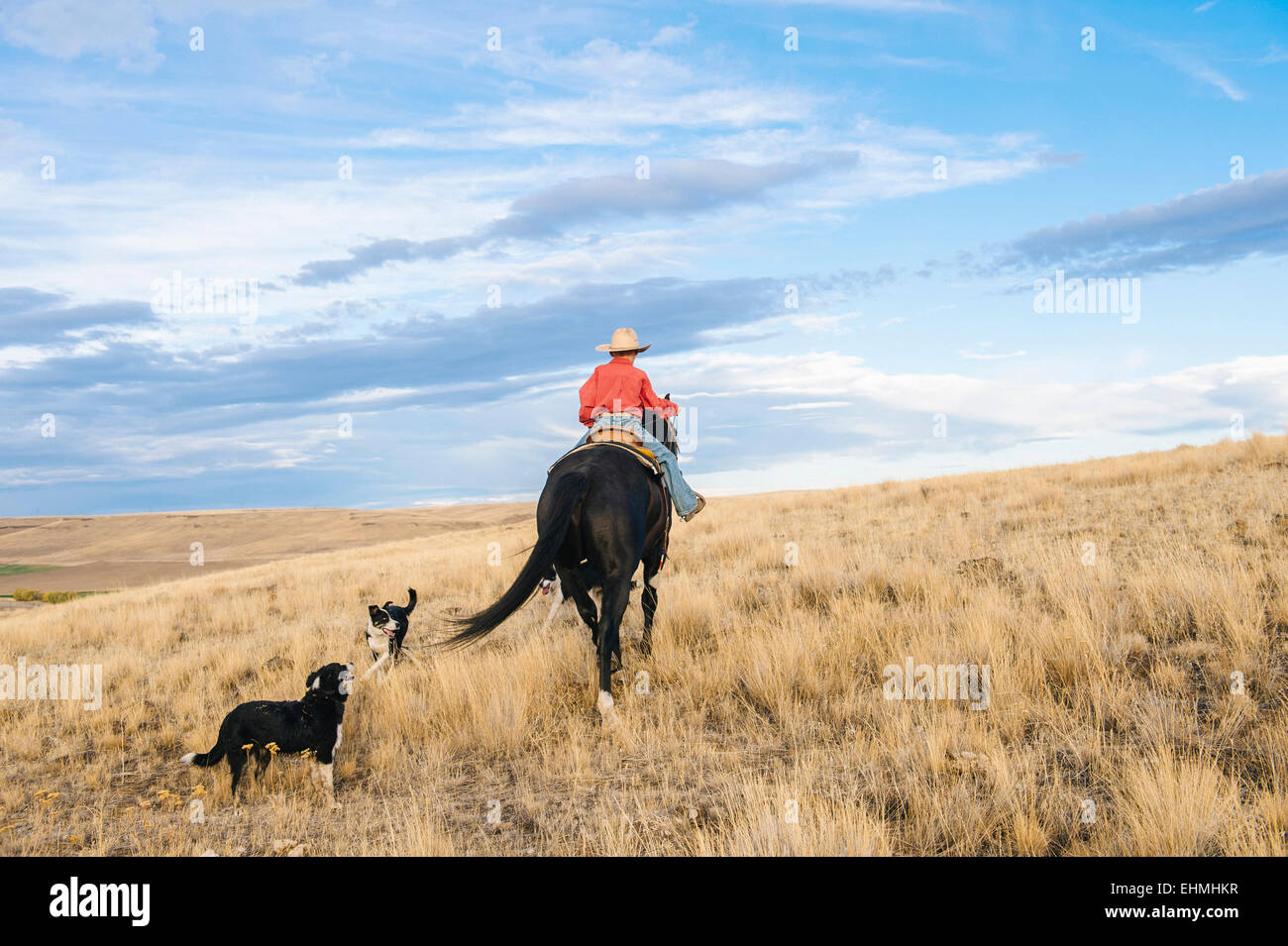 Caucasian boy riding horse on grassy hill Stock Photo - Alamy