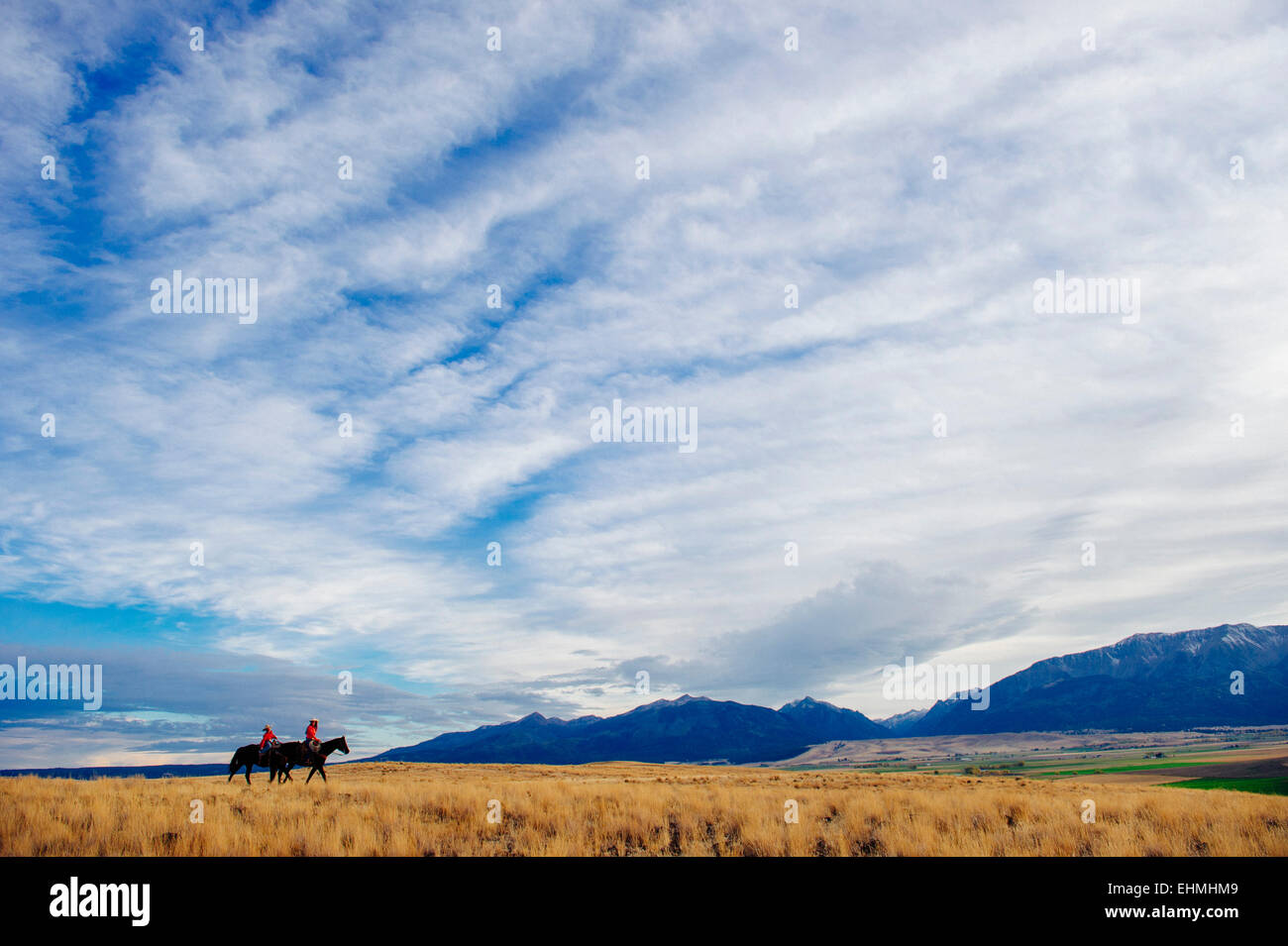 Caucasian herders riding horses in remote field Stock Photo - Alamy