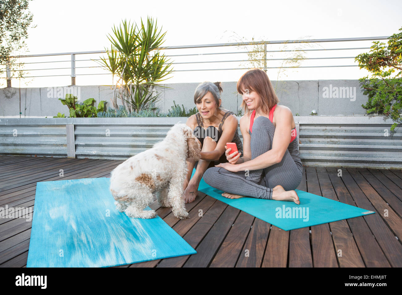 Women with dog using cell phone on exercise mat Stock Photo - Alamy