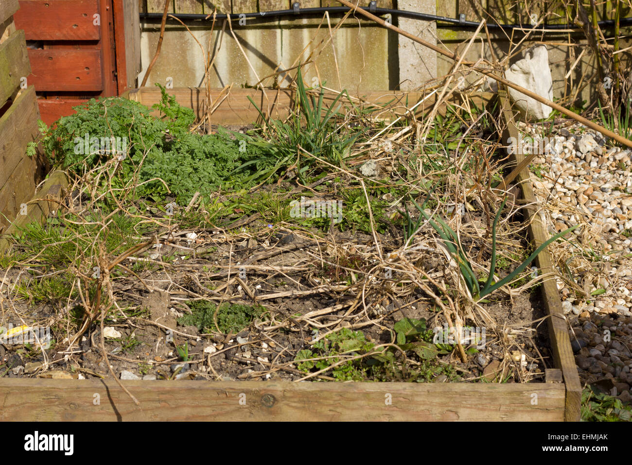 Over overgrown raised bed Stock Photo - Alamy