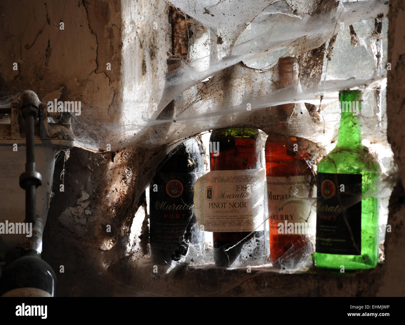 Wine - ageless and timeless Stock Photo - Alamy Wine - ageless and timeless Stock Photo - Alamy