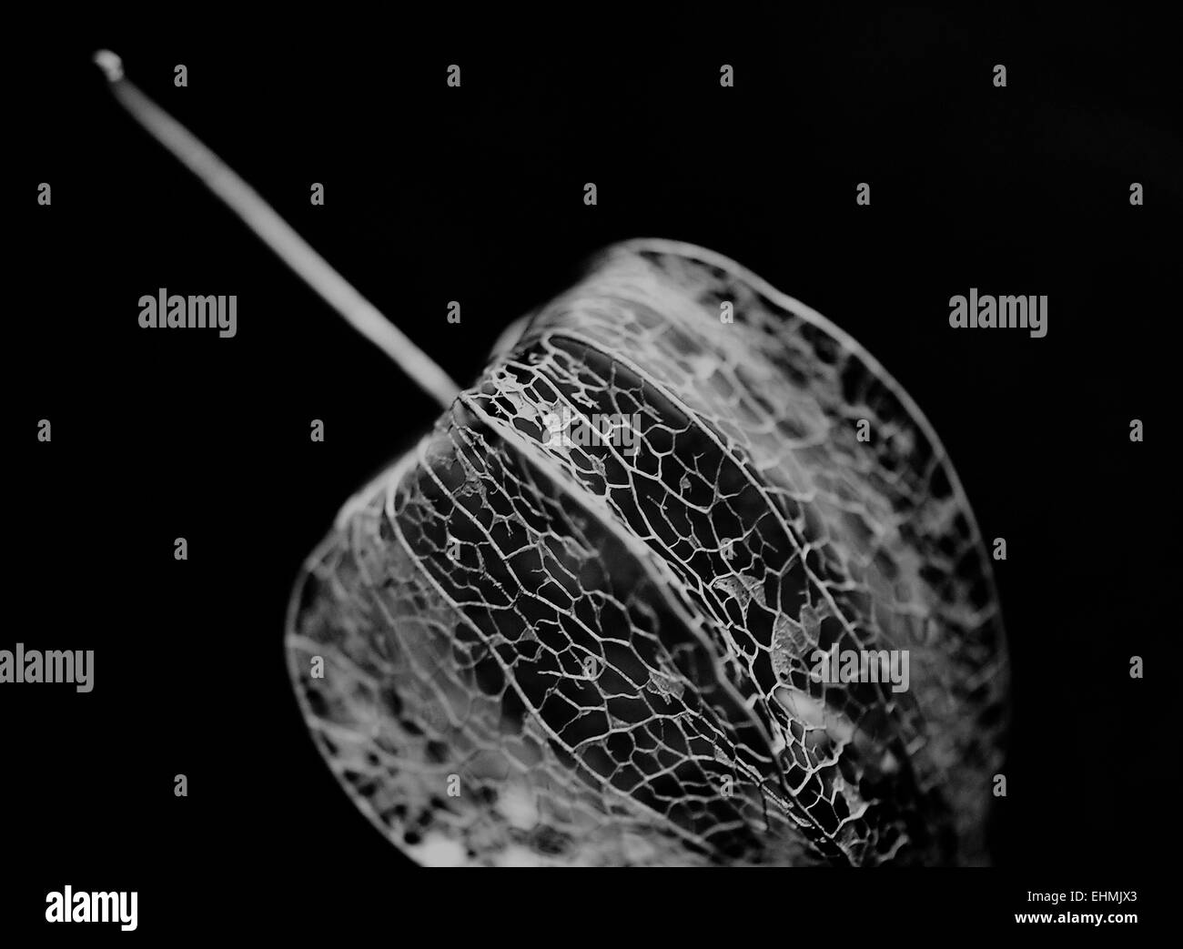 Time pod hi-res stock photography and images - Alamy