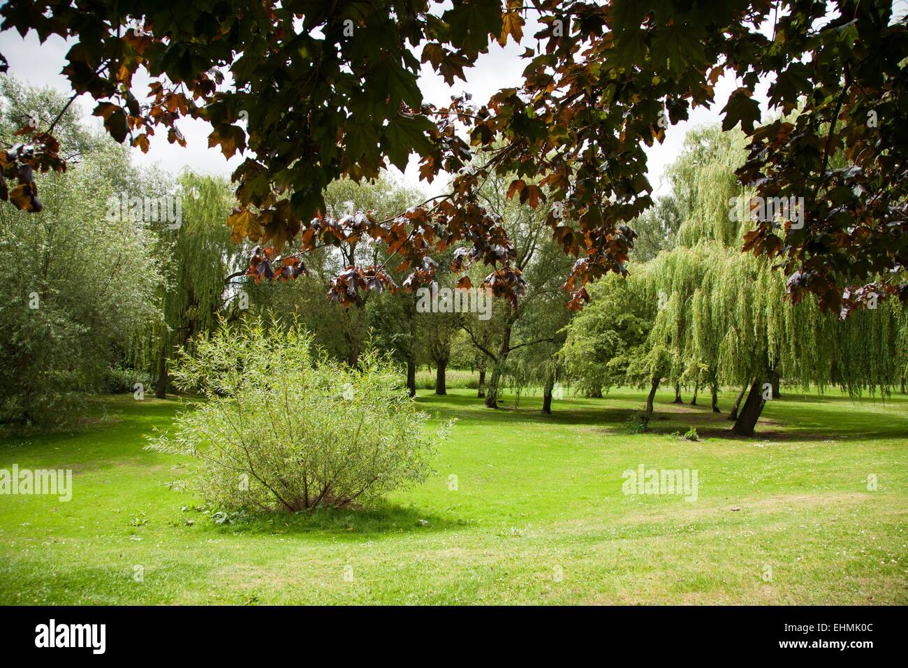 Park nature reserve hi-res stock photography and images - Alamy