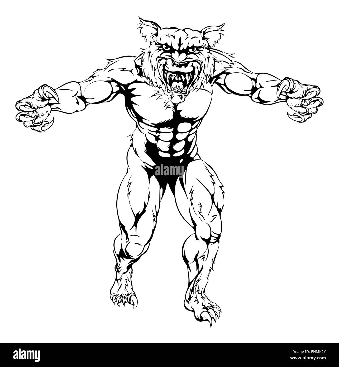 An illustration of a Werewolf wolf scary sports mascot with claws out ...