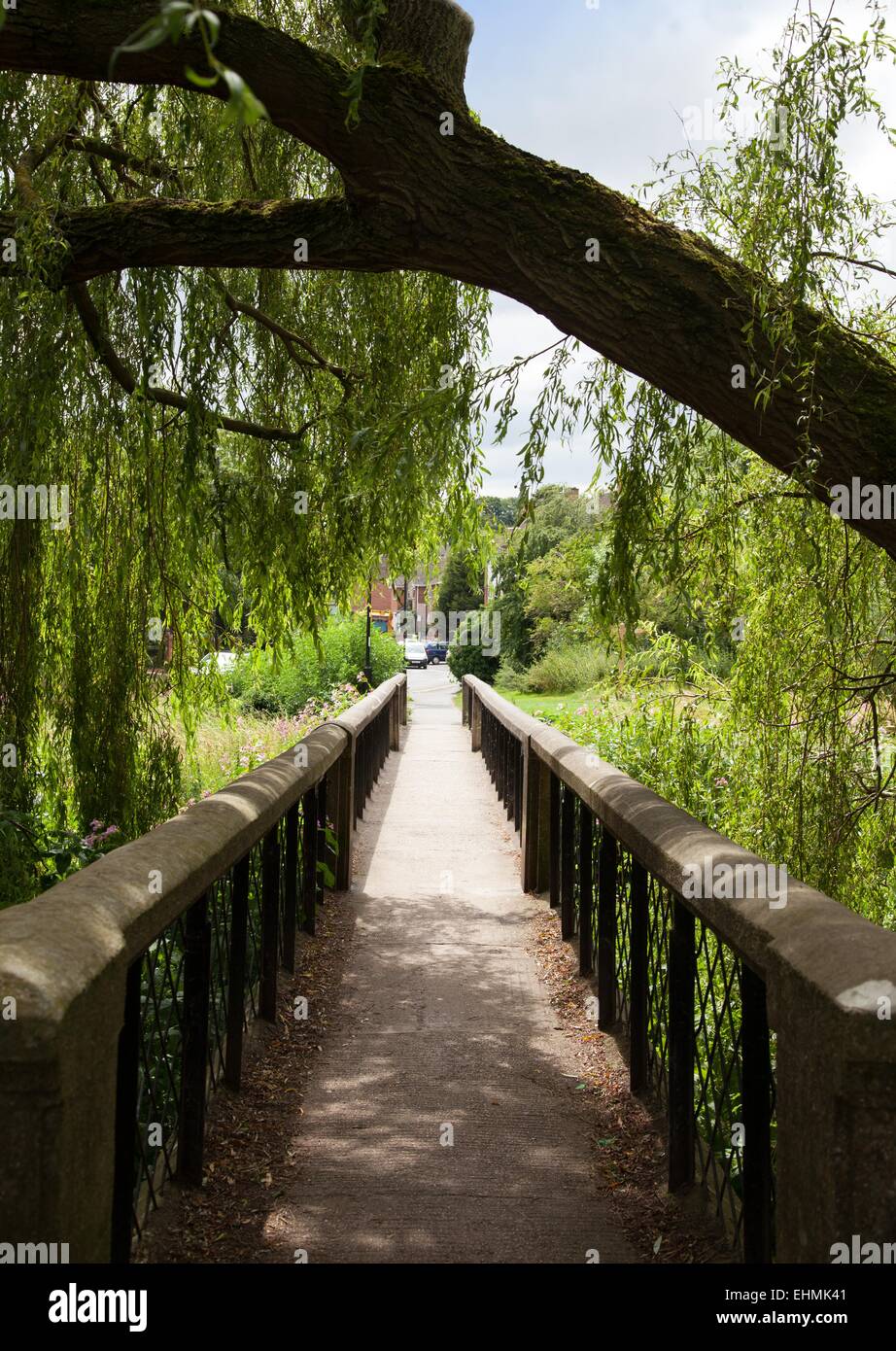 Cole End Park Nature Reserve, Coleshill, West Midlands Stock Photo - Alamy