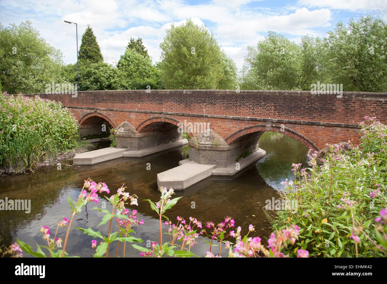 Cole End Park Nature Reserve, Coleshill, West Midlands Stock Photo - Alamy