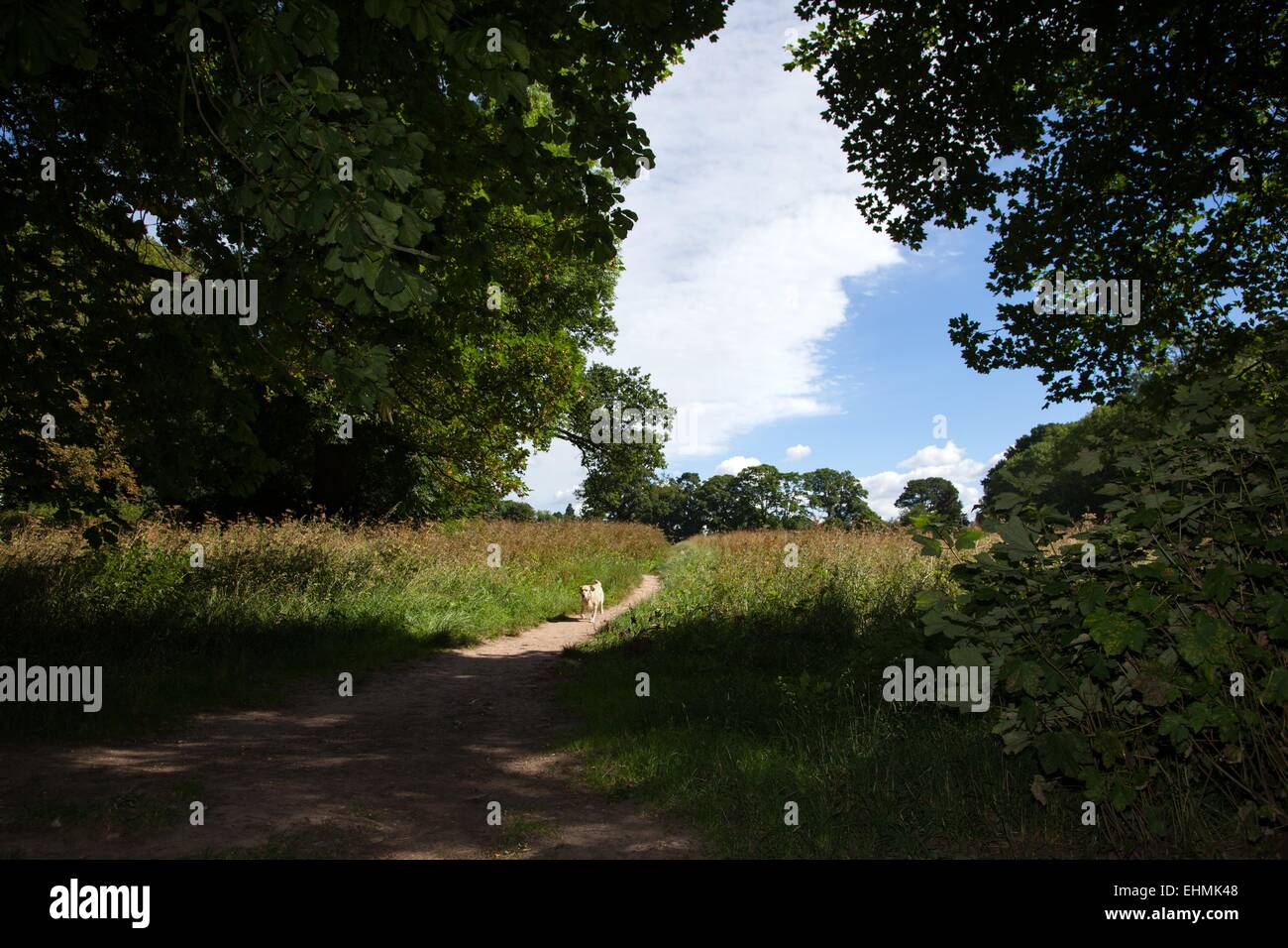 Dorridge Park, near Solihull, West Midlands Stock Photo - Alamy