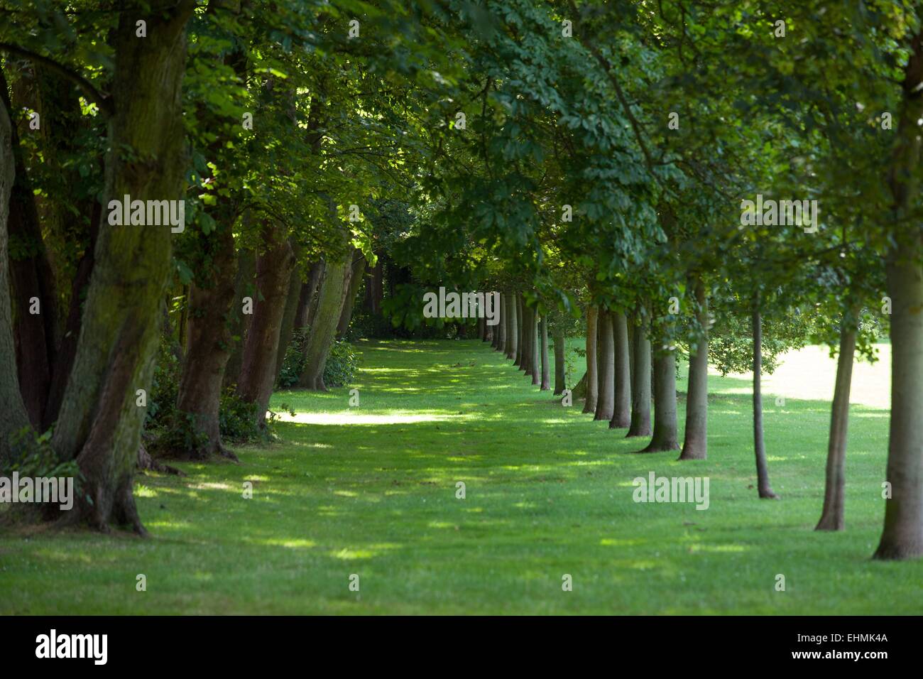 Dorridge park hi-res stock photography and images - Alamy
