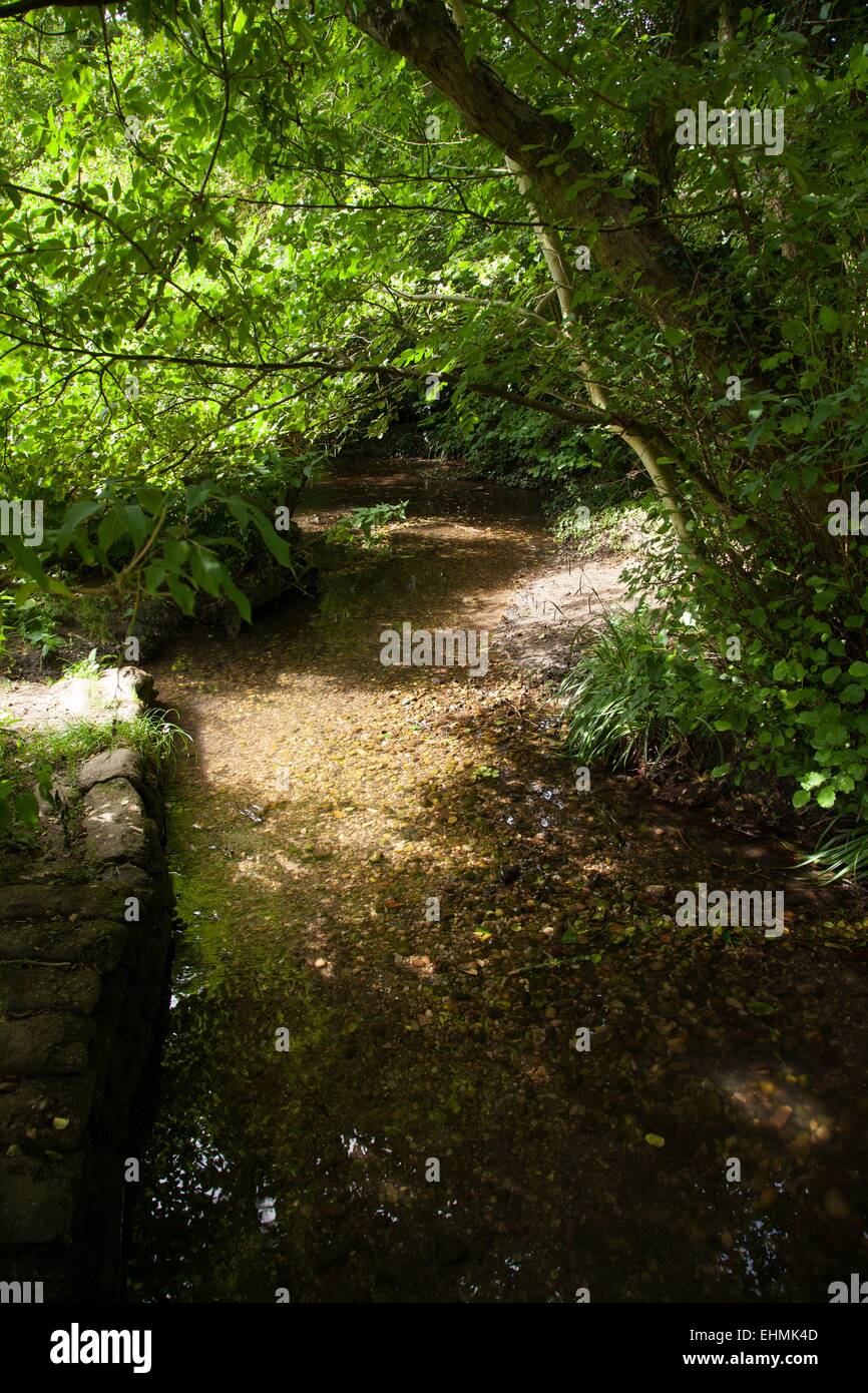 Dorridge park hi-res stock photography and images - Alamy