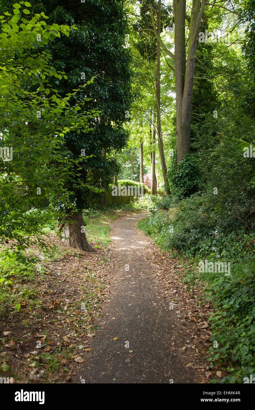 Wooded pathway opposite Forest Hotel, Dorridge Stock Photo - Alamy
