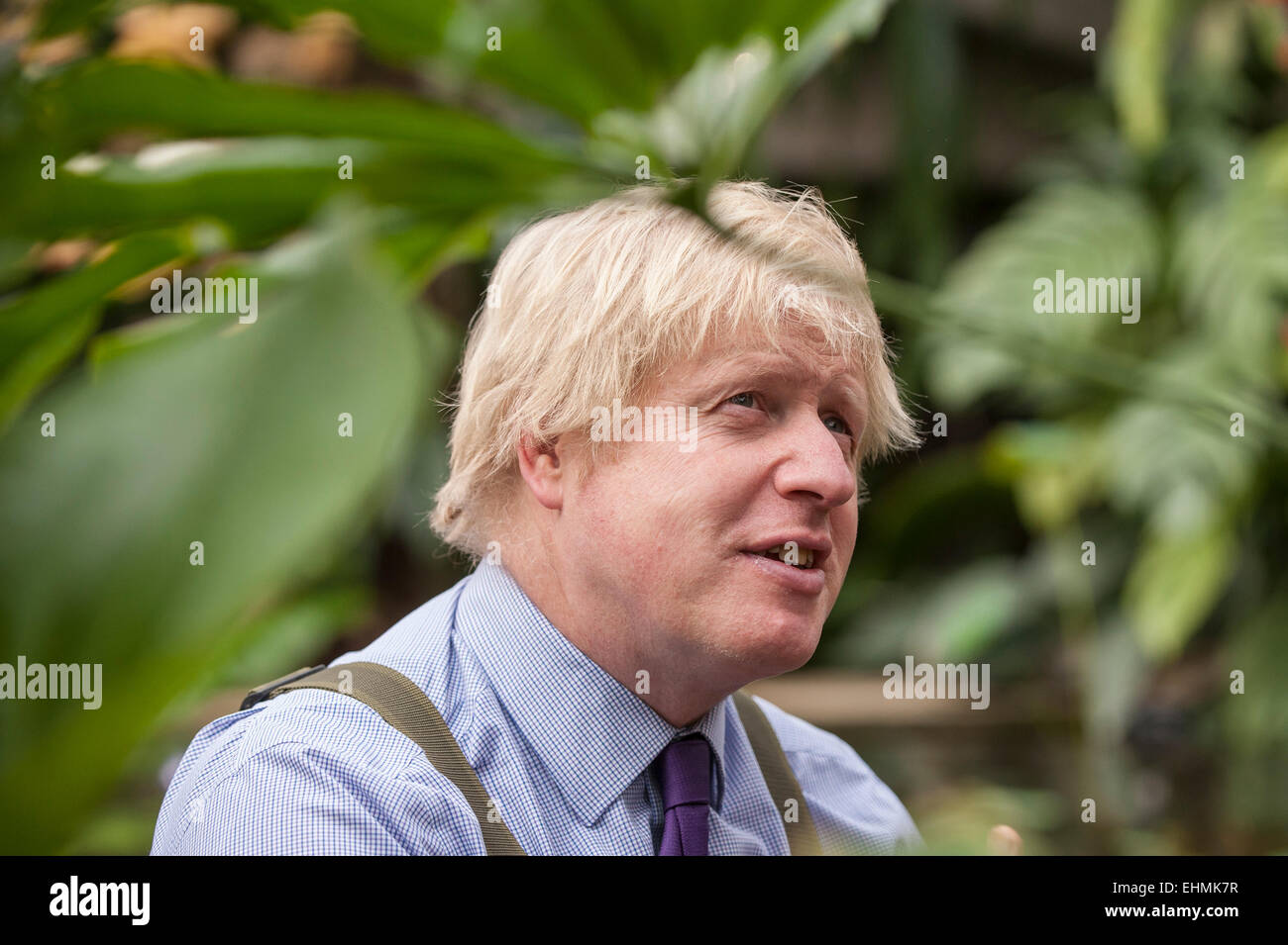 Kew horticulturist carlos magdalena plant young victoria amazonica ...