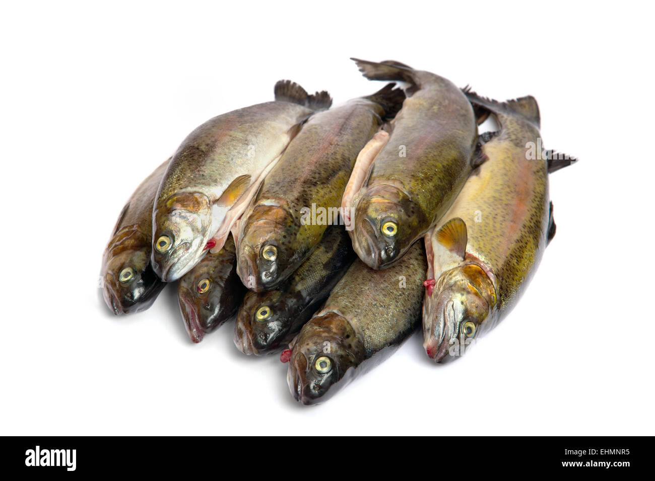 Clipart fish hi-res stock photography and images - Alamy