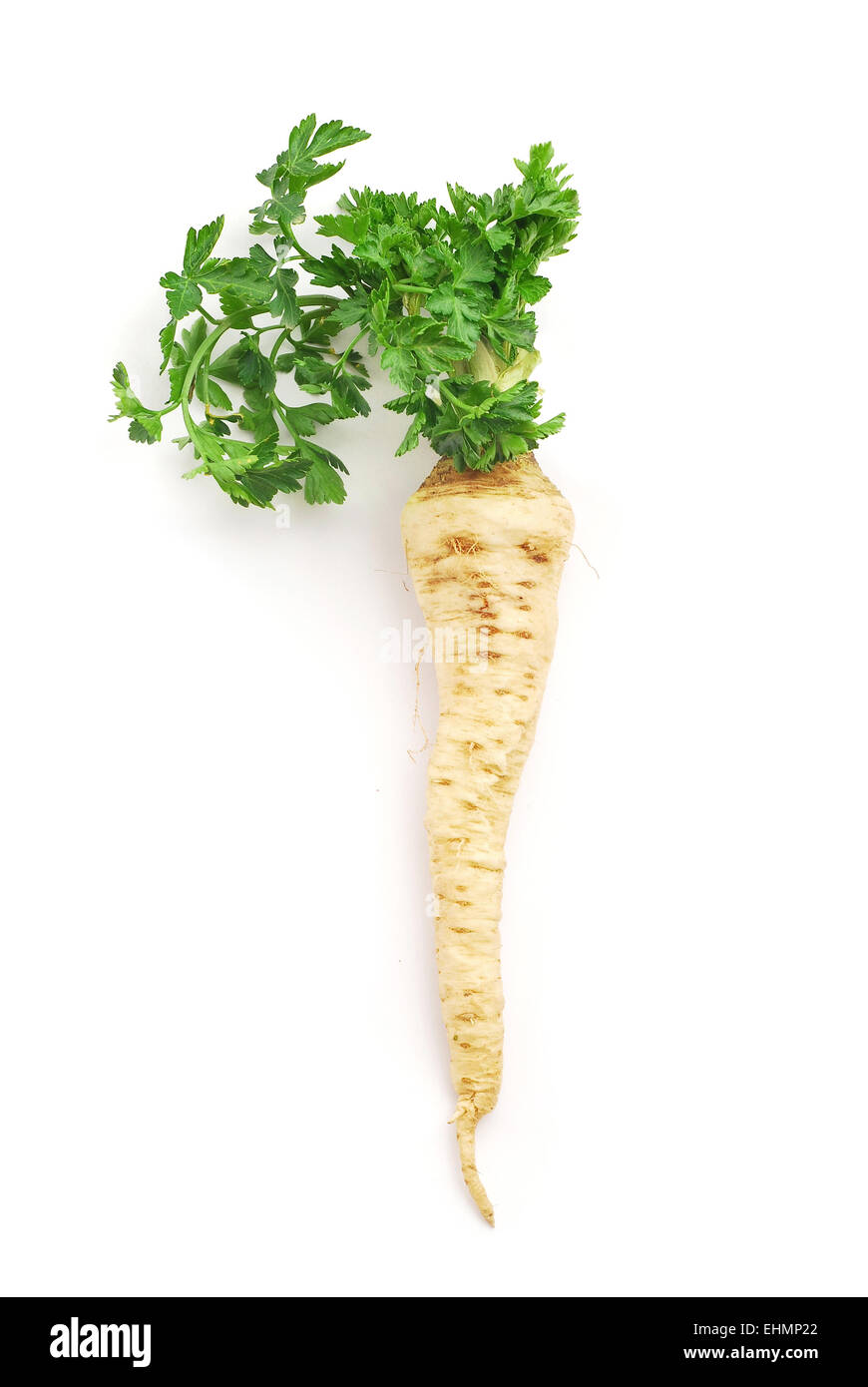 parsley root on white background Stock Photo - Alamy