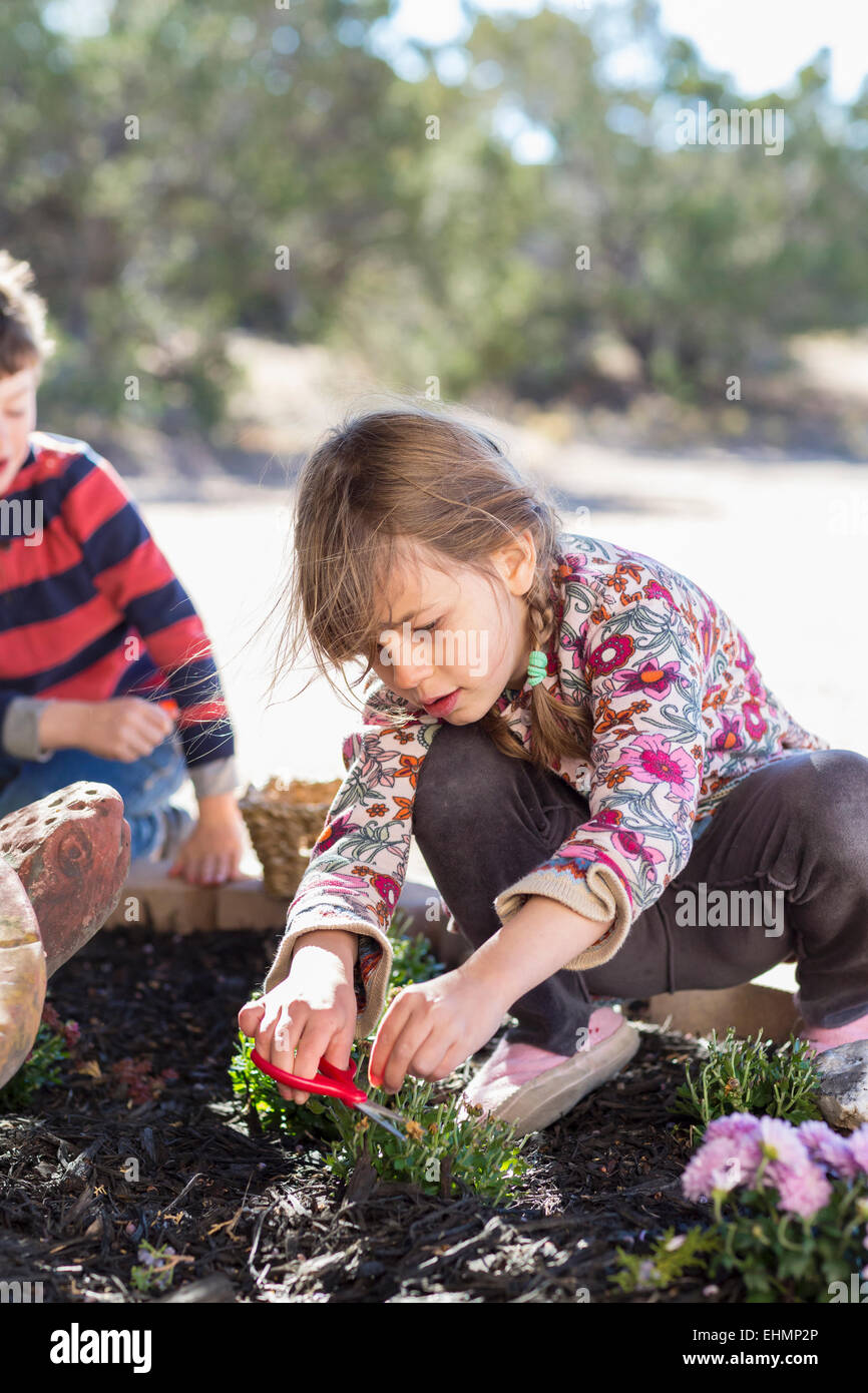 Children gardening in yard Stock Photo - Alamy