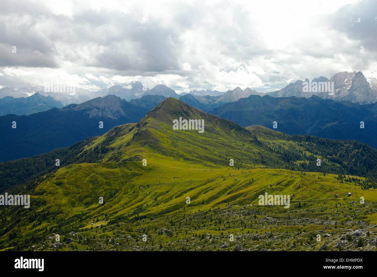 Lush alpine greenery hi-res stock photography and images - Alamy