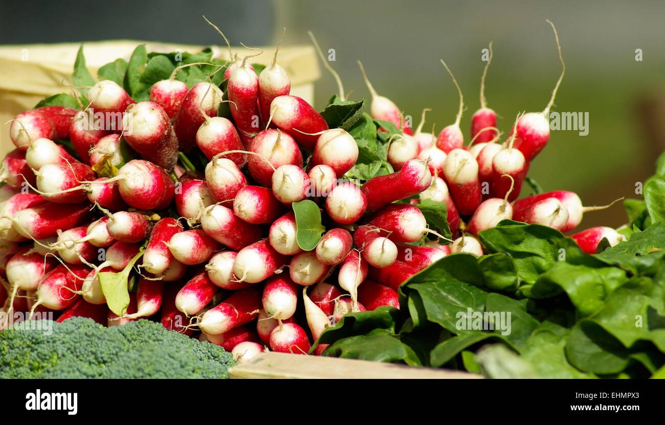Tap Root Stock Photos & Tap Root Stock Images - Alamy