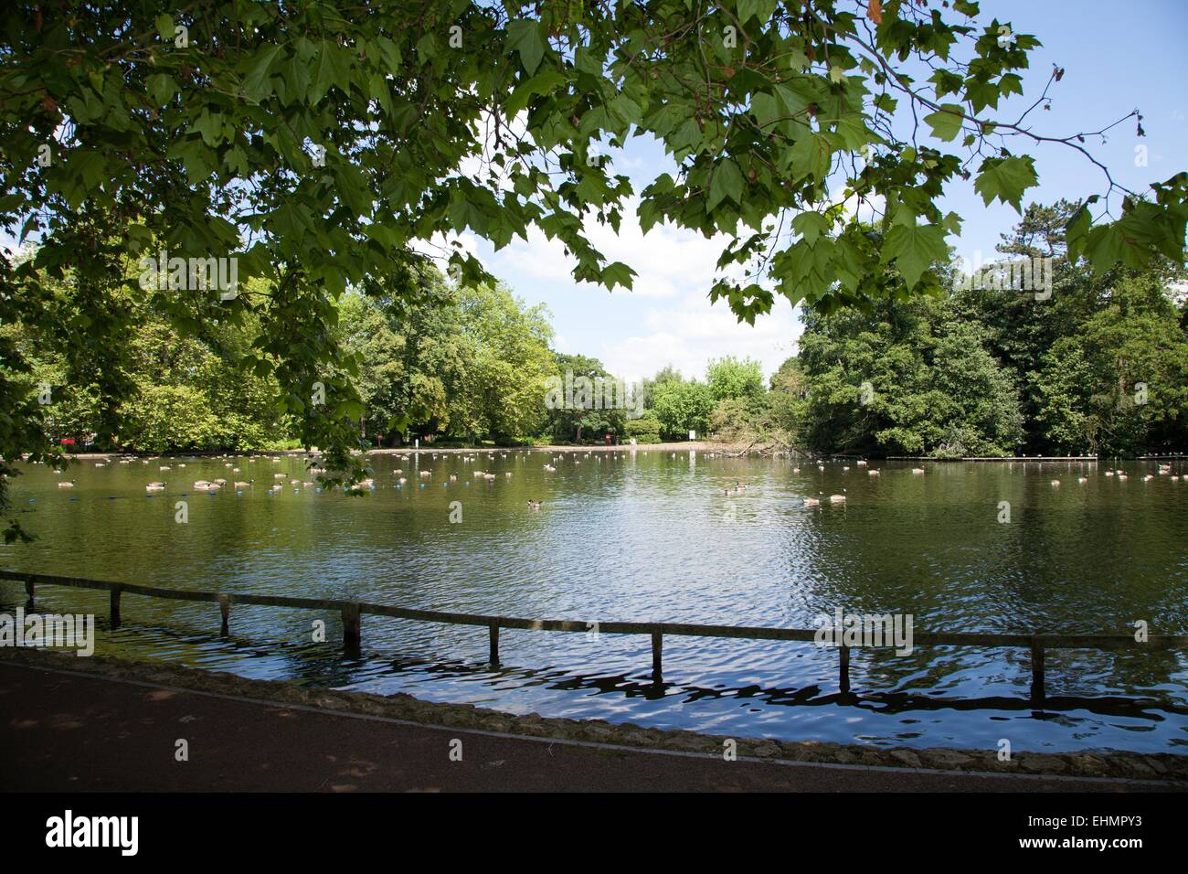 West park wolverhampton hi-res stock photography and images - Alamy