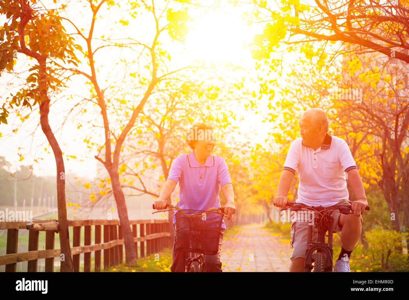 Road bicycle ride in park hi-res stock photography and images - Alamy