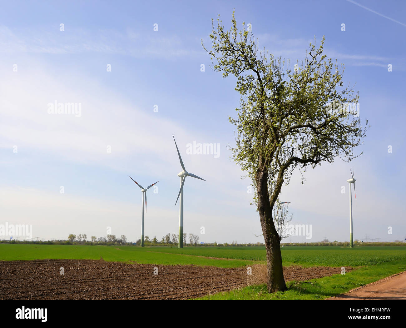 Wind turbines and a tree on the field Stock Photo - Alamy