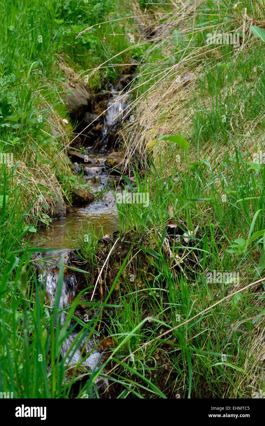 Stream in meadow hi-res stock photography and images - Alamy