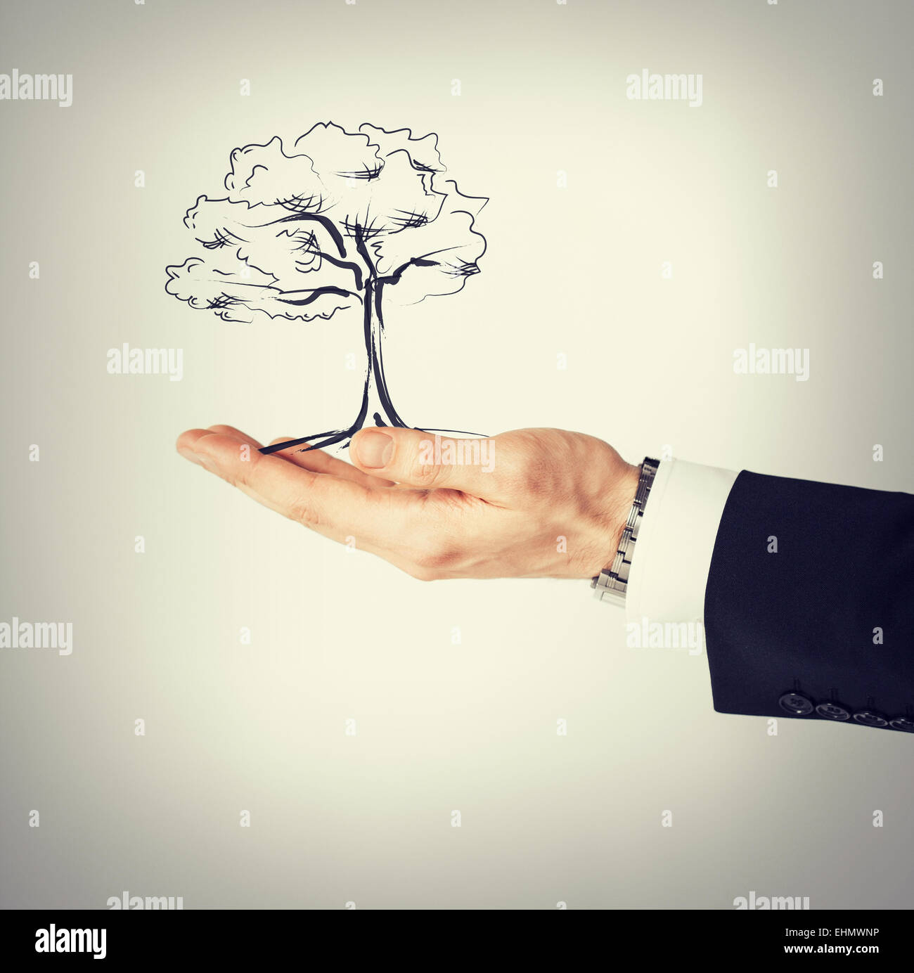 Hand holding tree sketch hi-res stock photography and images - Alamy