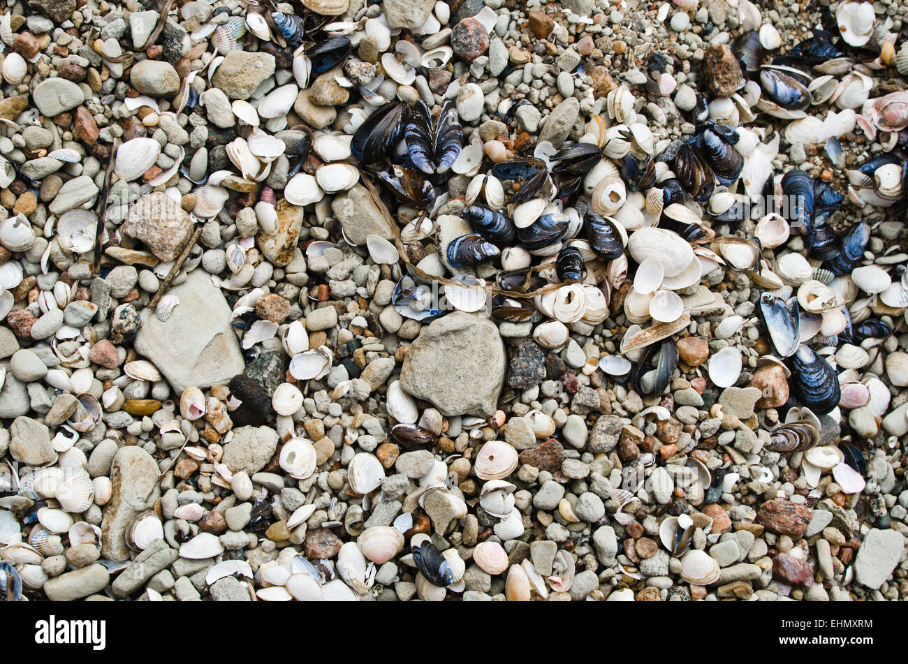Multi-coloured sea stones, close-up Stock Photo - Alamy