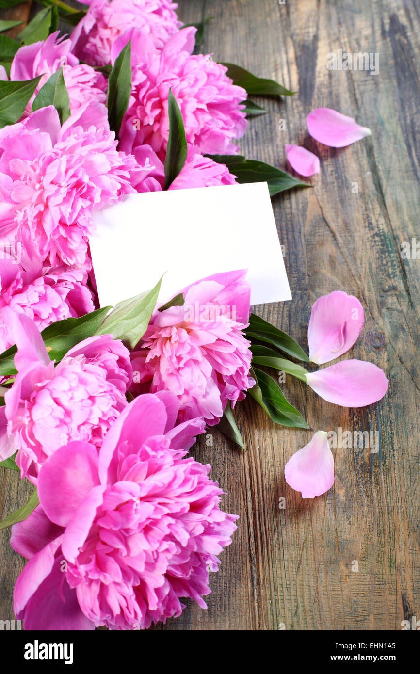 Peonies High Resolution Stock Photography and Images - Alamy