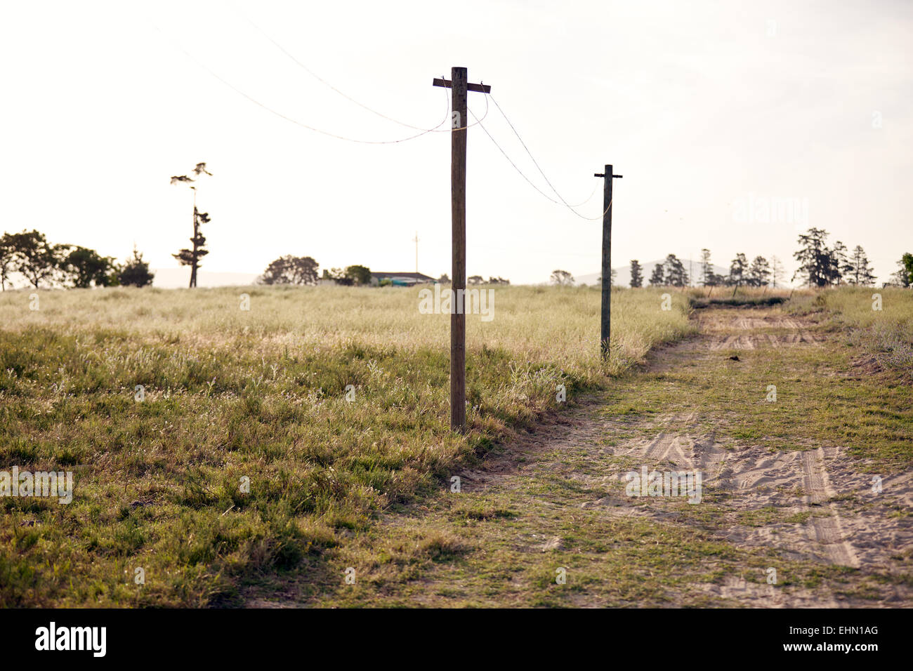 Wooden Telephone Poles in field Stock Photo - Alamy