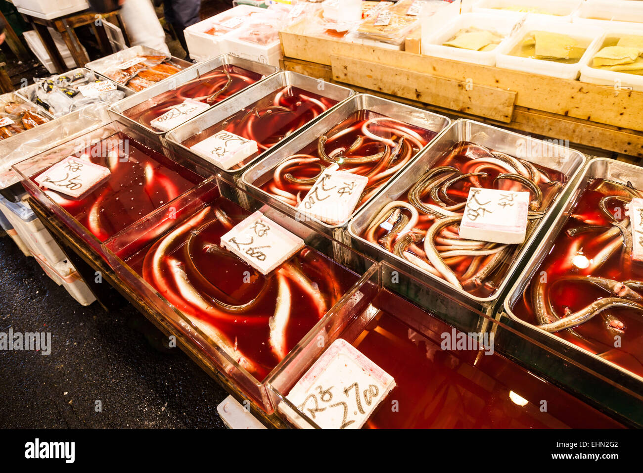 Eels tsukiji fish market hi-res stock photography and images - Alamy