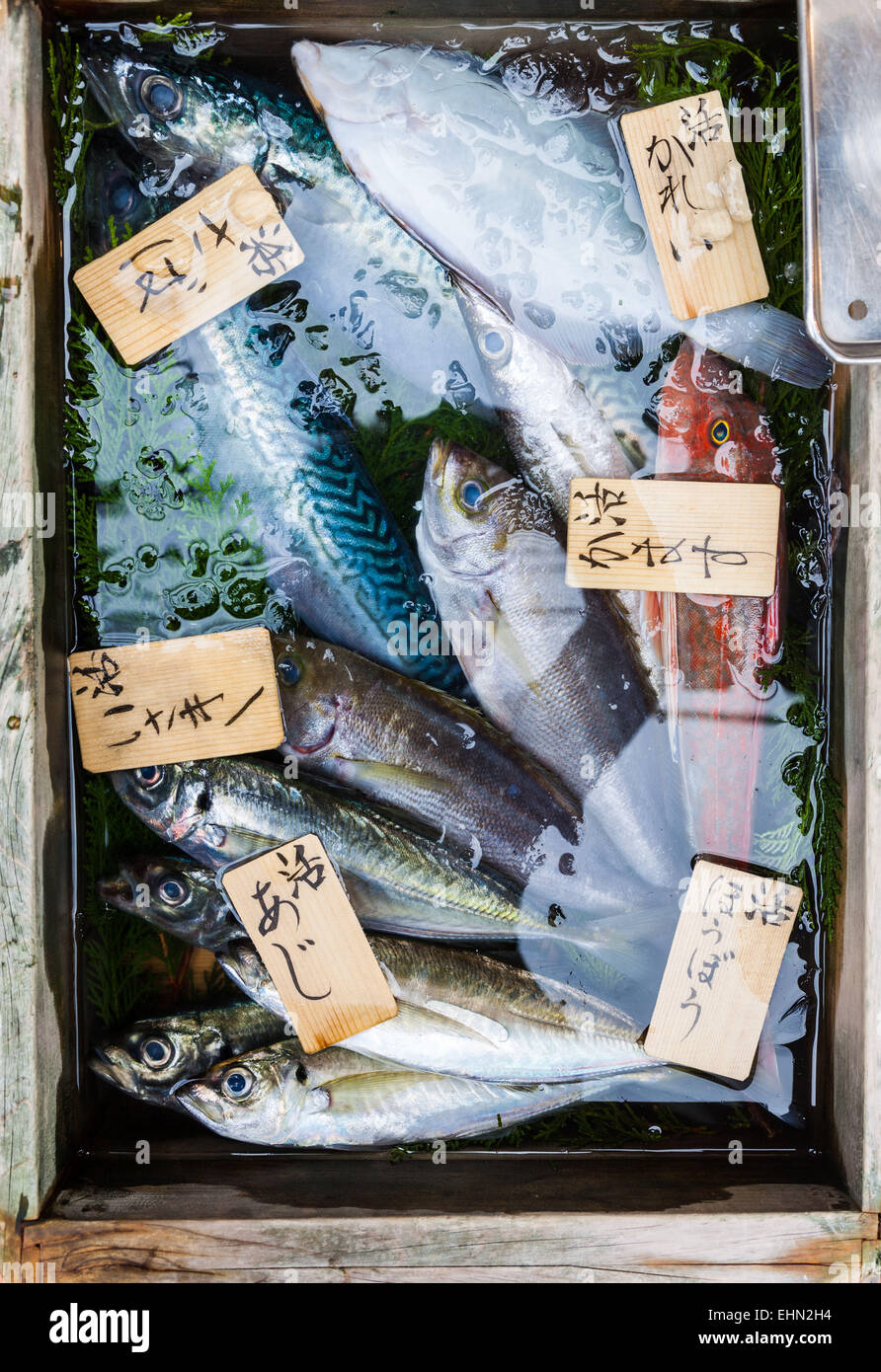 Trade fish market hi-res stock photography and images - Alamy