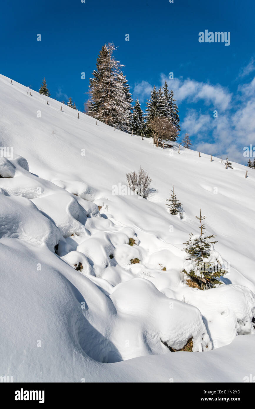 Austria, Tirol, Winter scenic in the Alpbachtal valley Stock Photo - Alamy