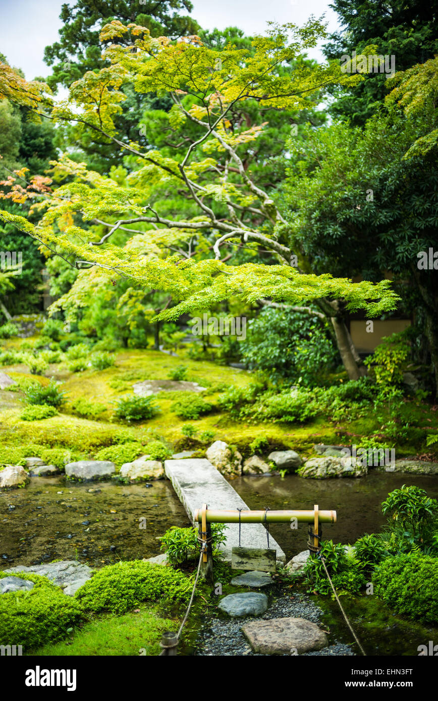 Murin-An, japanese garden, Kyoto, Japan Stock Photo - Alamy