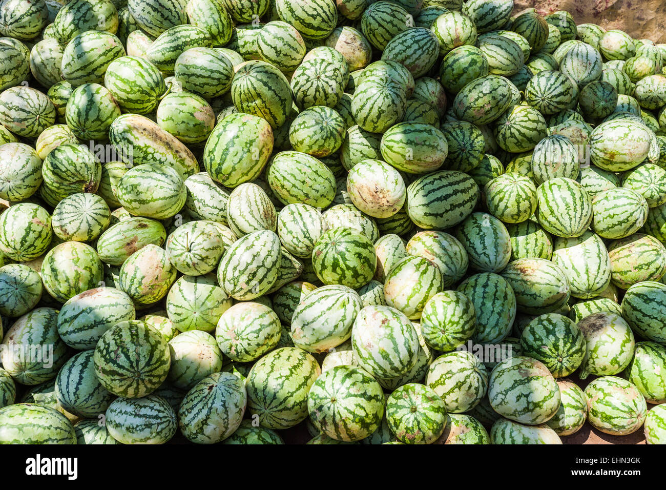 Watermelons india hi-res stock photography and images - Alamy