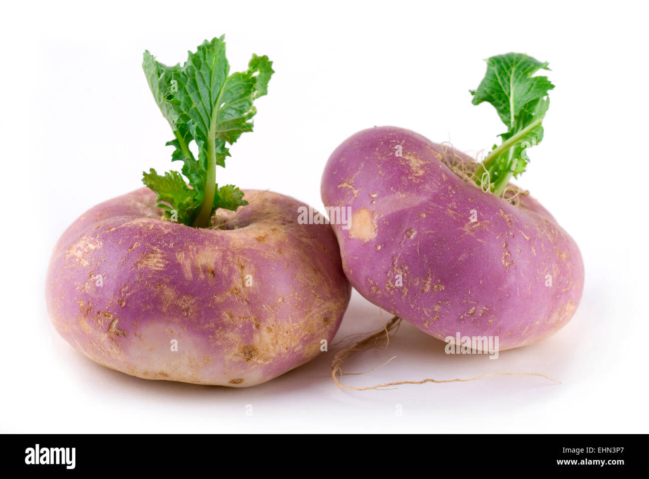 Two turnips close up on white background Stock Photo - Alamy