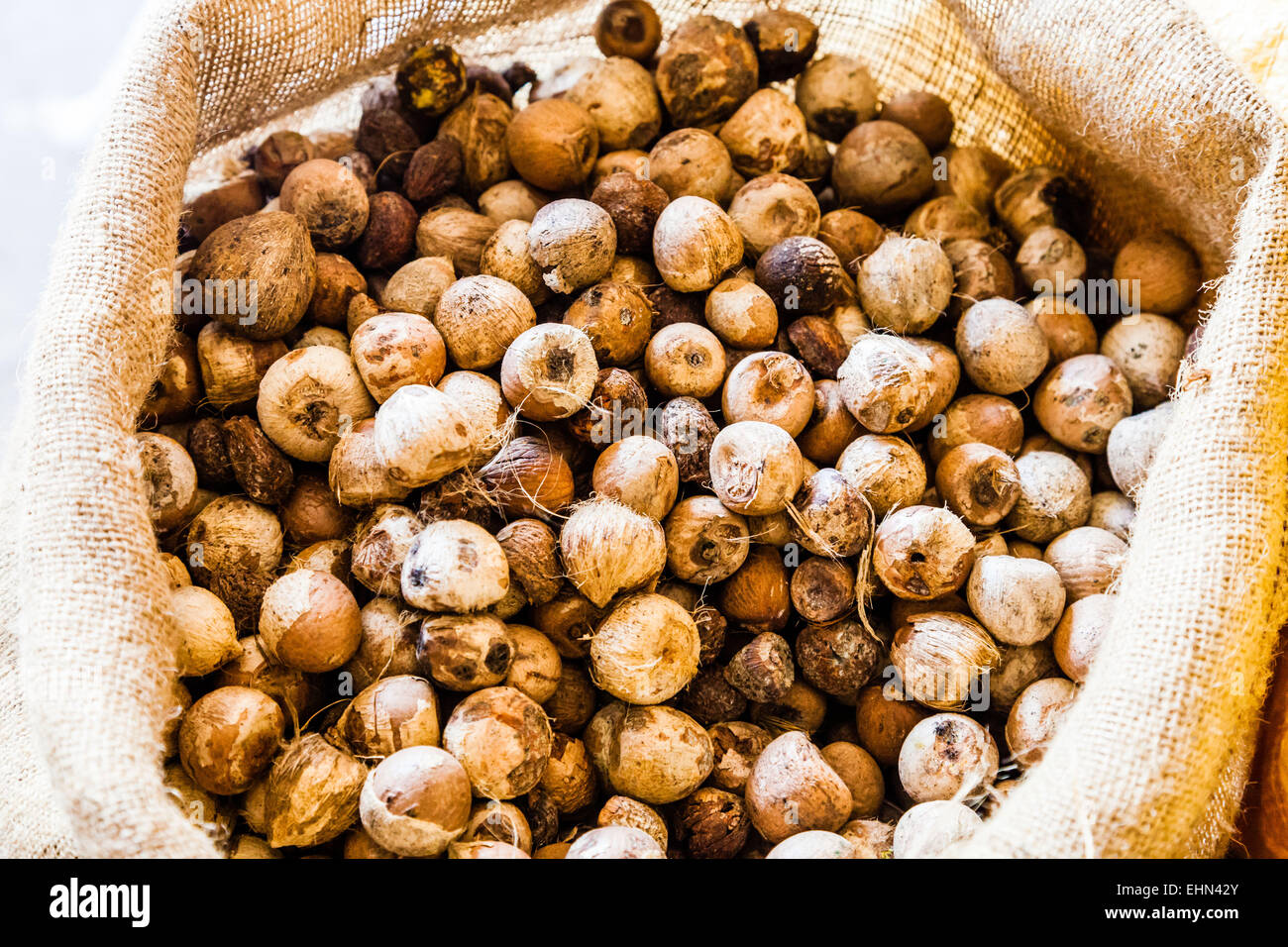 Palm nuts hi-res stock photography and images - Alamy