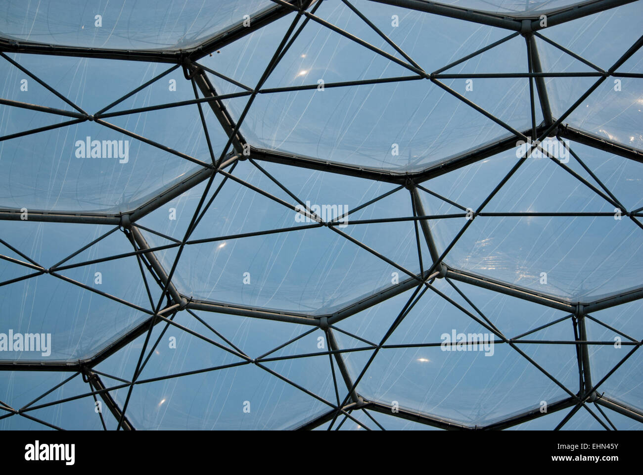 Inside Wall of Eden Project Biome Stock Photo - Alamy