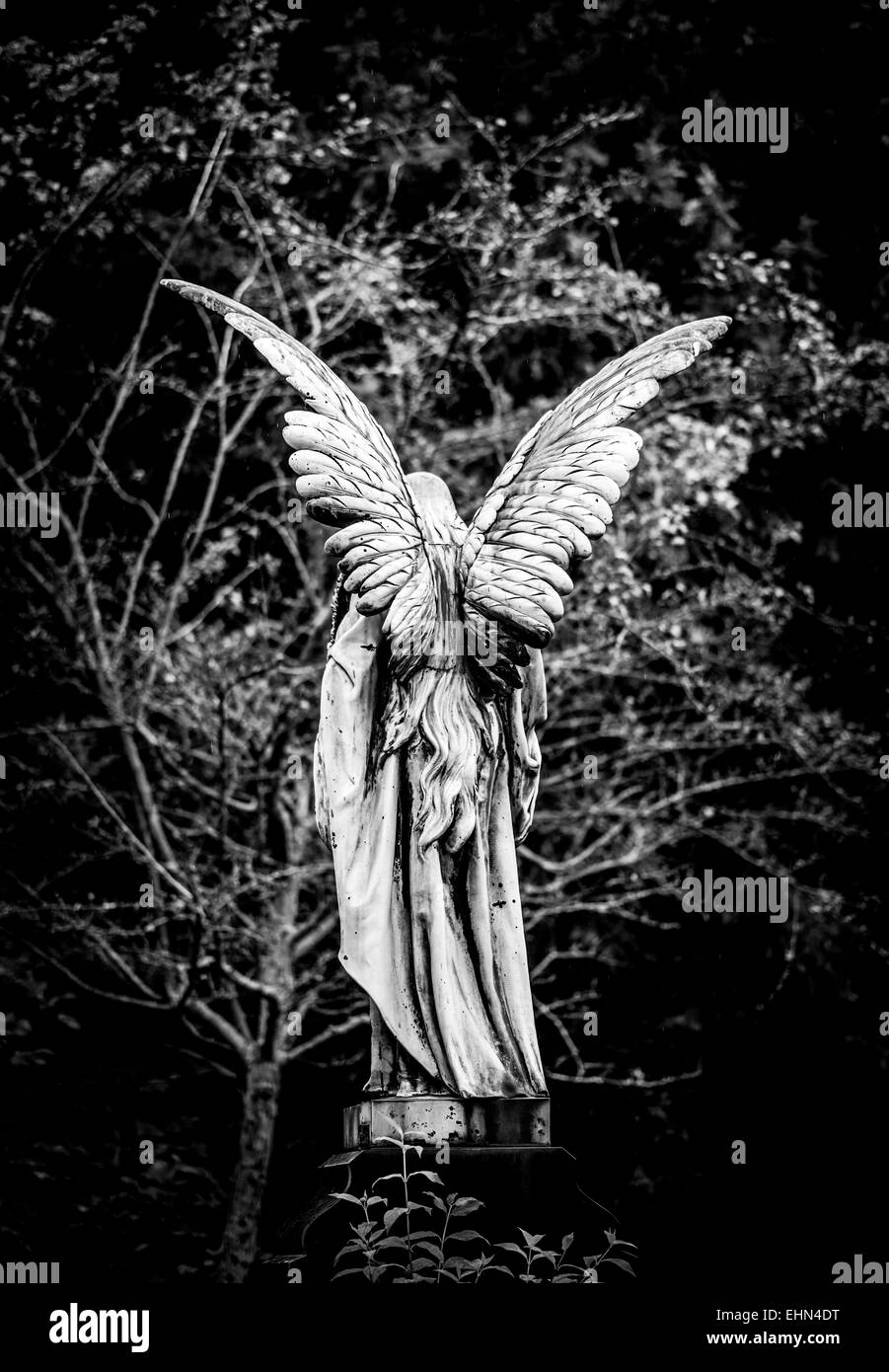 Angel gravestone full length back view in black and white Stock Photo ...