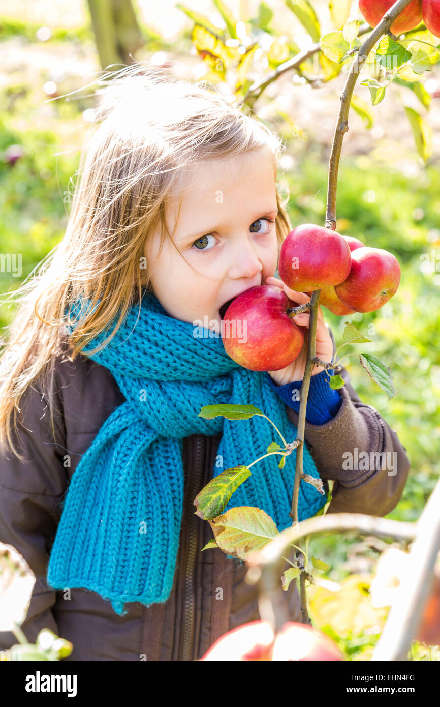 2 year old tree hi-res stock photography and images - Alamy