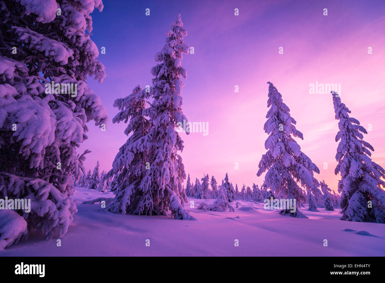 winter landscape with trees Stock Photo - Alamy