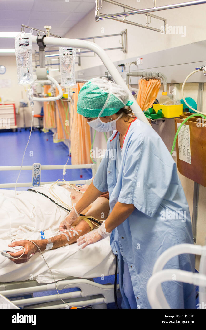 Cerebral Angiography Procedure