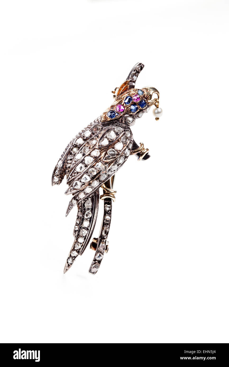 Diamond and gemset parrot brooch.19th century Stock Photo - Alamy