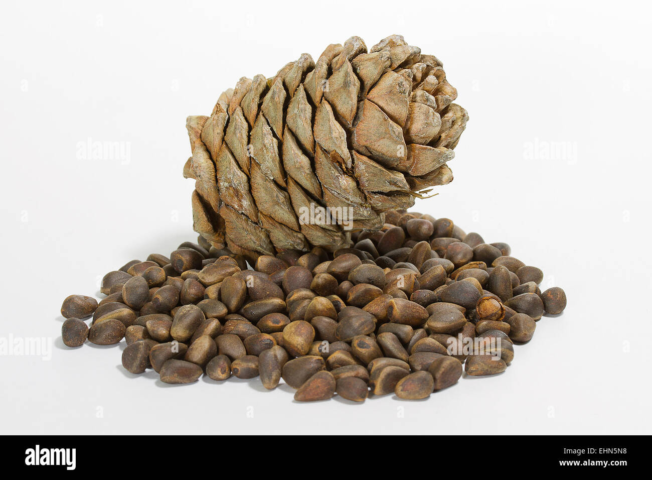 Cone with nuts hi-res stock photography and images - Alamy