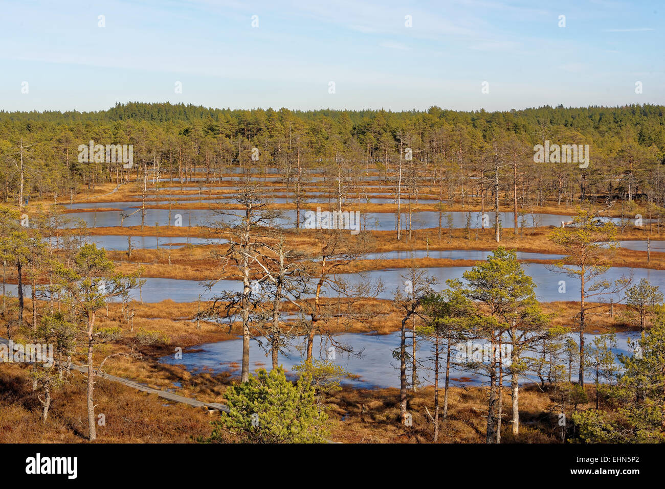 Viru brewery hi-res stock photography and images - Alamy