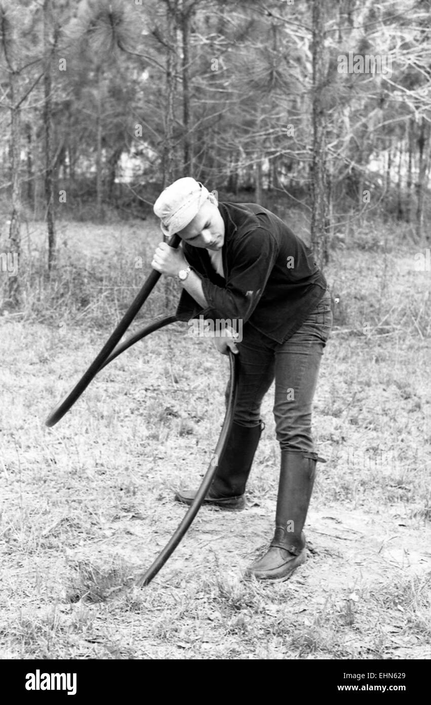 Trapper old hi-res stock photography and images - Alamy